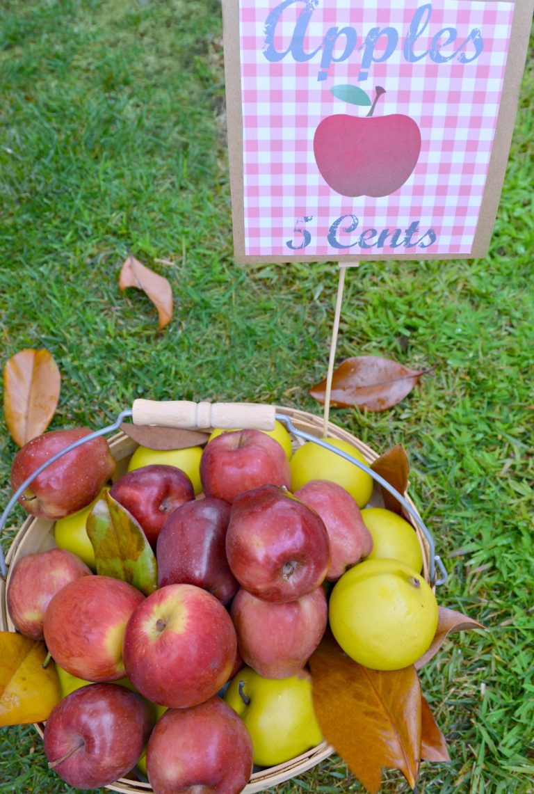 Apples 5 Cents Free printable and Vignette - My Uncommon Slice of Suburbia