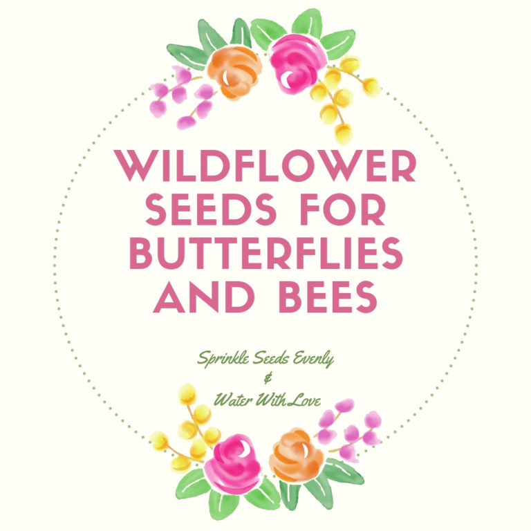 Free Printable for Wildflower Seed Packets - My Uncommon Slice of Suburbia