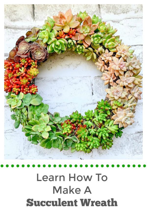 DIY Succulent Wreath - My Uncommon Slice of Suburbia