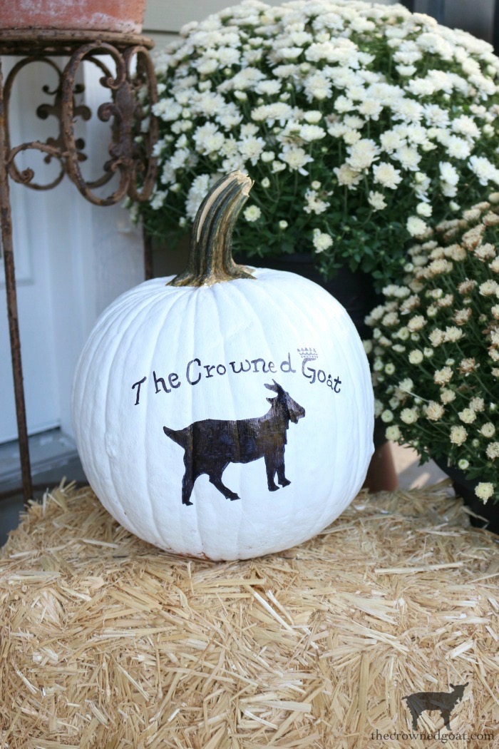 Inspire Me Monday - My Uncommon Slice of Suburbia