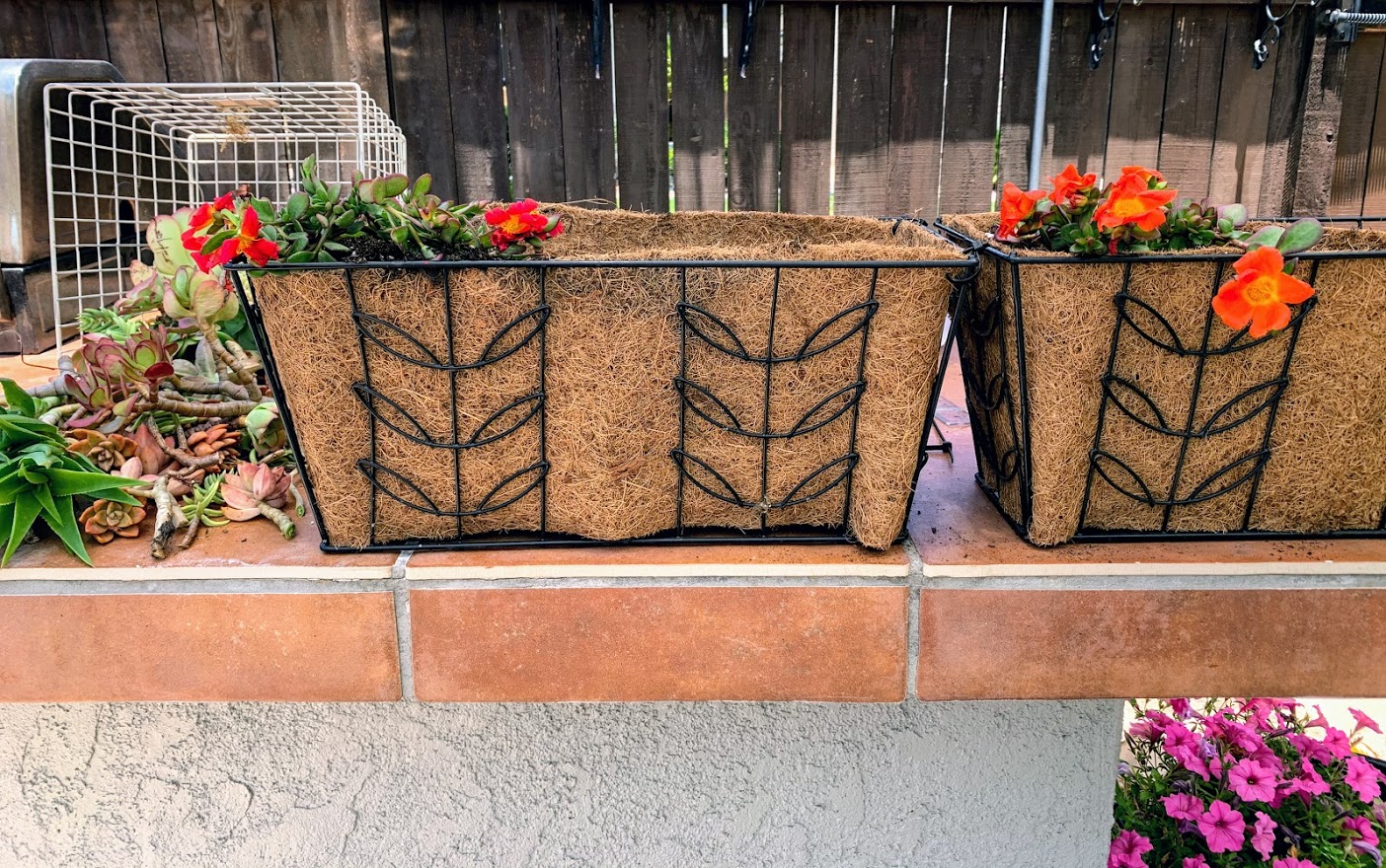 How to Create a Hanging Basket Using Coco Liners - My Uncommon Slice of ...