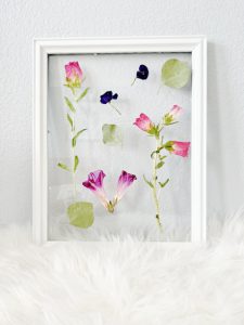 DIY Pressed Flower Art in a Picture Frame - My Uncommon Slice of Suburbia