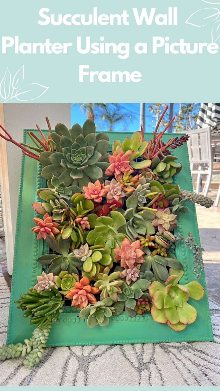 Succulent Wall Planter Using a Picture Frame - My Uncommon Slice of ...