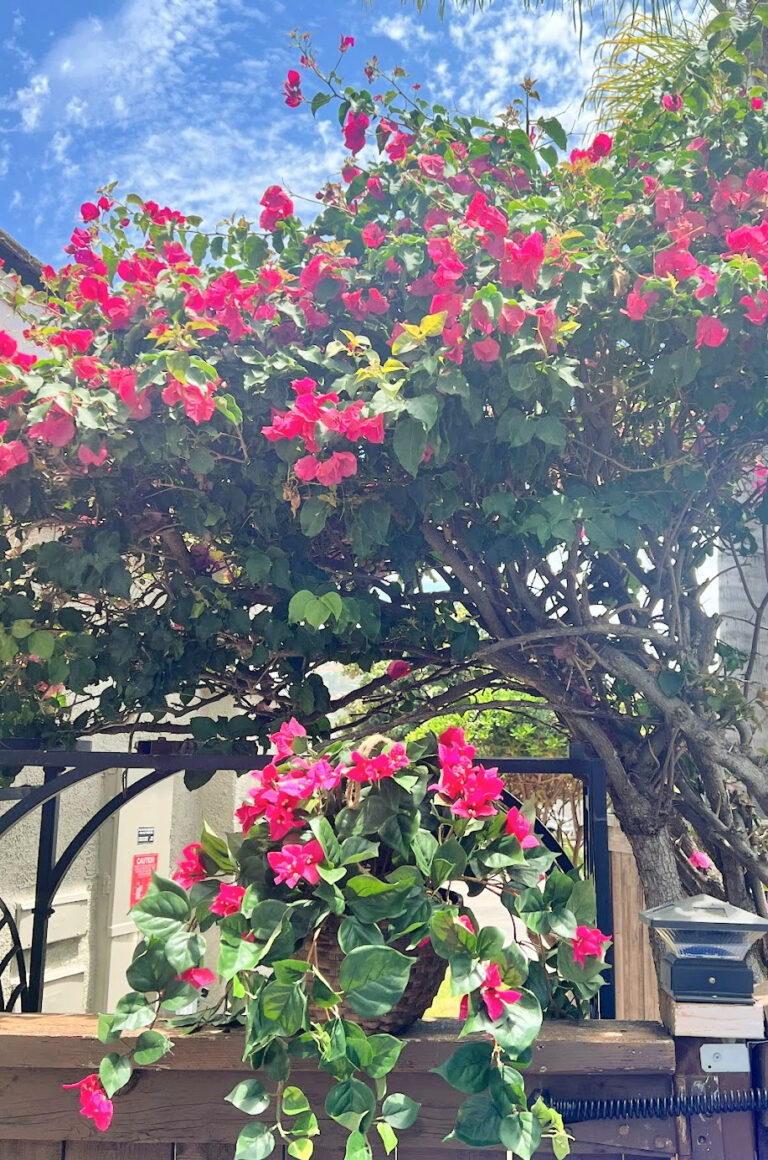 Tips For Decorating Your Outdoor Living Space With Artificial Plants ...