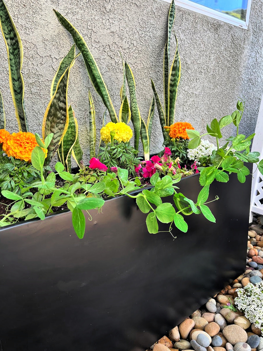 How To Turn a Old File Cabinet Into a Modern Planter - My Uncommon ...