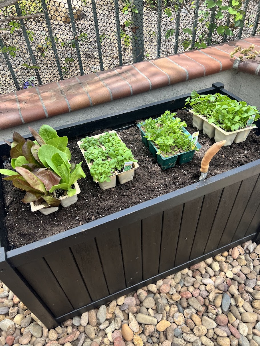 How To Turn a Wood Storage Bin Into a Planter - My Uncommon Slice of ...