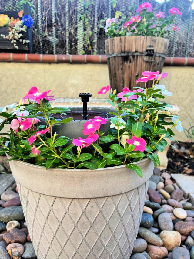 Easy To Make DIY Solar Powered Water Planter Feature - My Uncommon ...