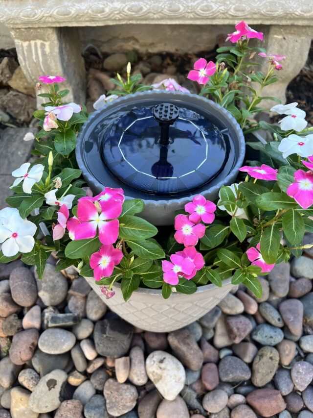 Easy To Make DIY Solar Powered Water Planter Feature - My Uncommon ...