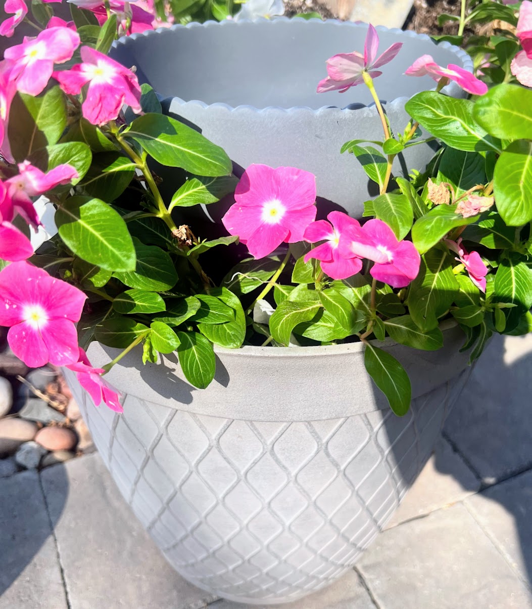 Easy To Make DIY Solar Powered Water Planter Feature - My Uncommon ...