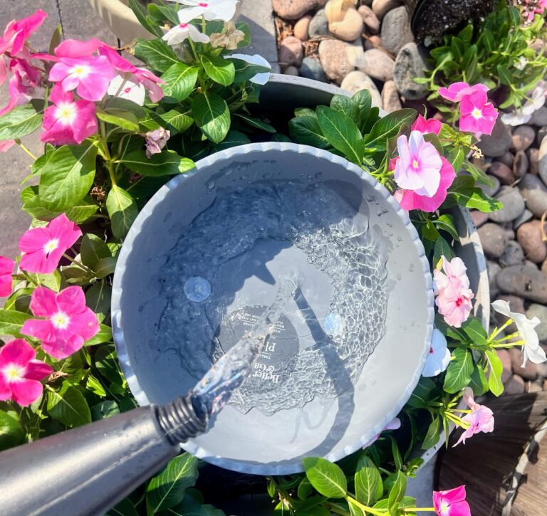 Easy To Make DIY Solar Powered Water Planter Feature - My Uncommon ...