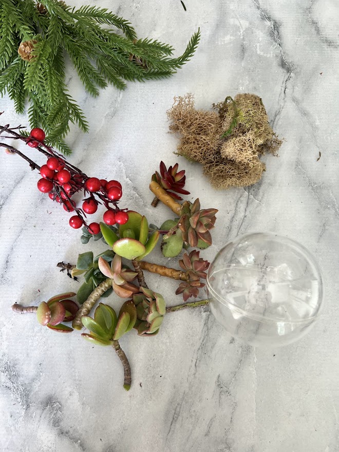 IMG_5735 - My Uncommon Slice of Suburbia