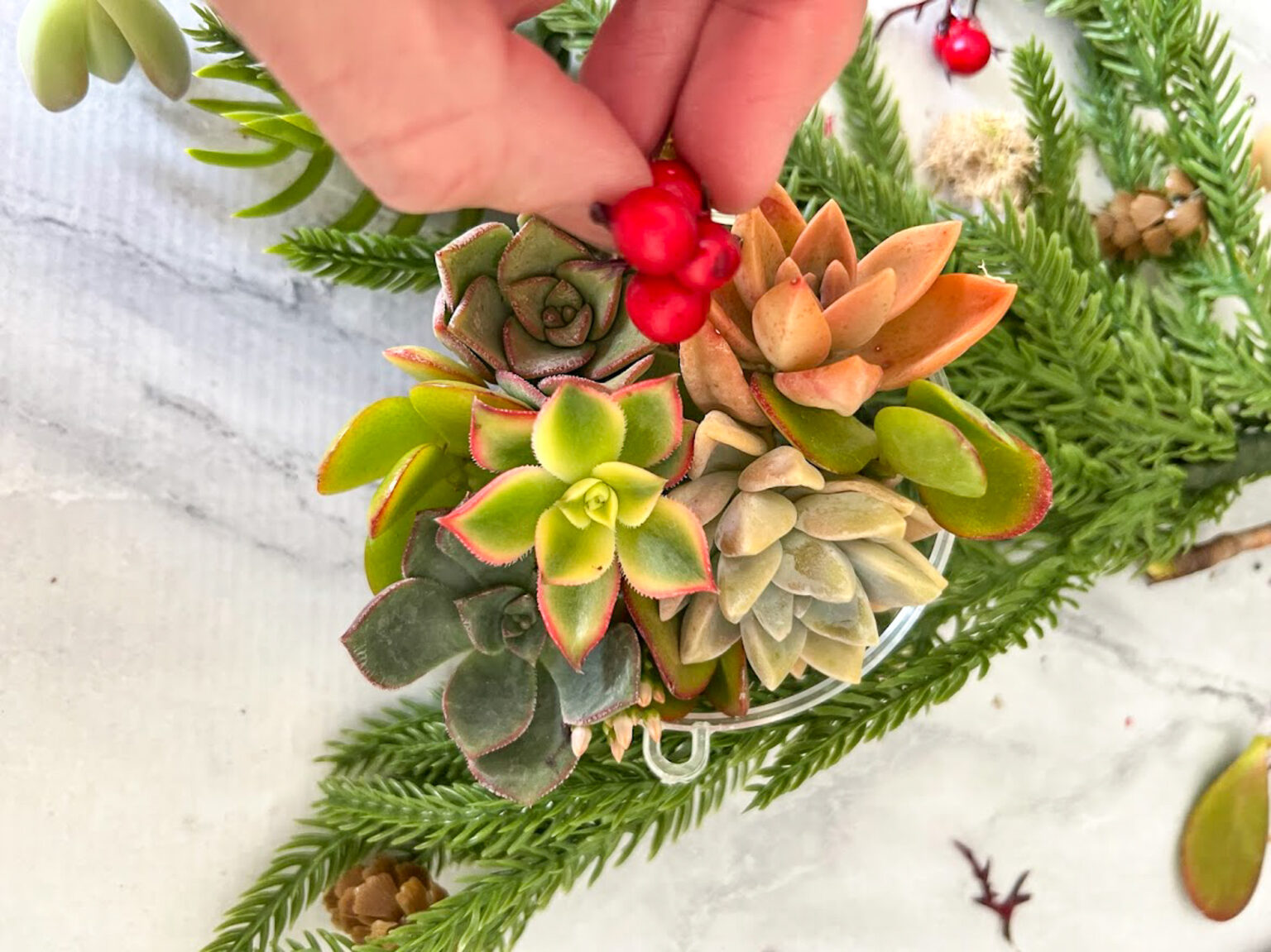 How to make a DIY Succulent Christmas Ornament - My Uncommon Slice of ...