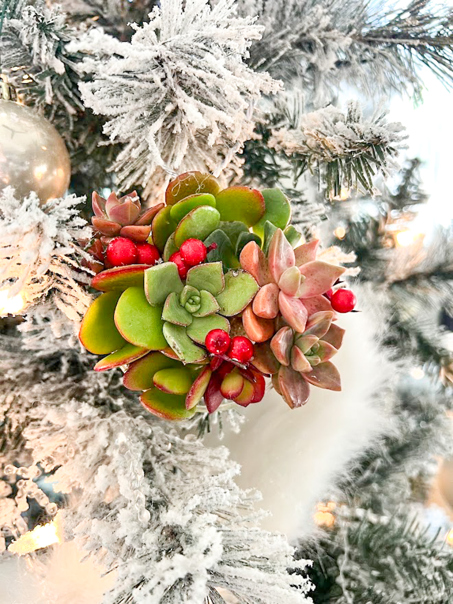 succulent christmas ornament - My Uncommon Slice of Suburbia