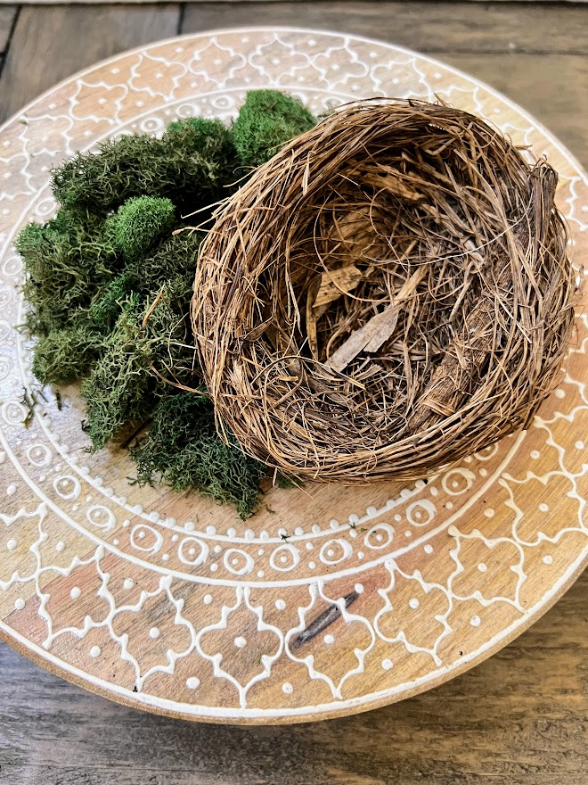 Spring vingette with glass dome. - My Uncommon Slice of Suburbia