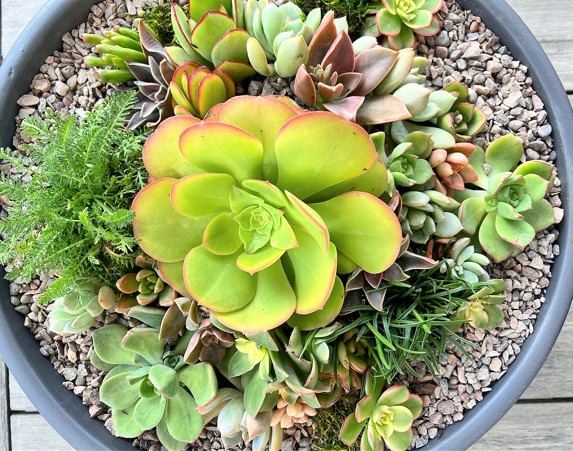 Transform an Old Garden Planter into a High-End Knockoff - My Uncommon ...