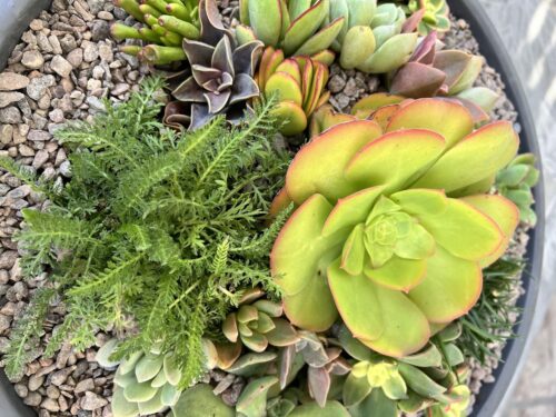 Transform an Old Garden Planter into a High-End Knockoff - My Uncommon ...